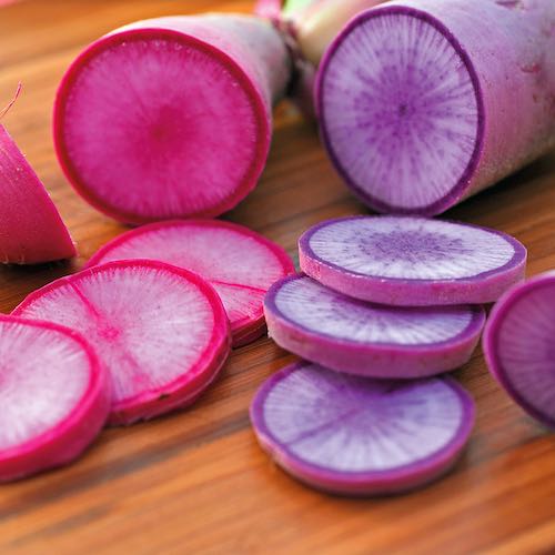 Radish Seeds for sale | 6 Radishes | Vegetable Seeds